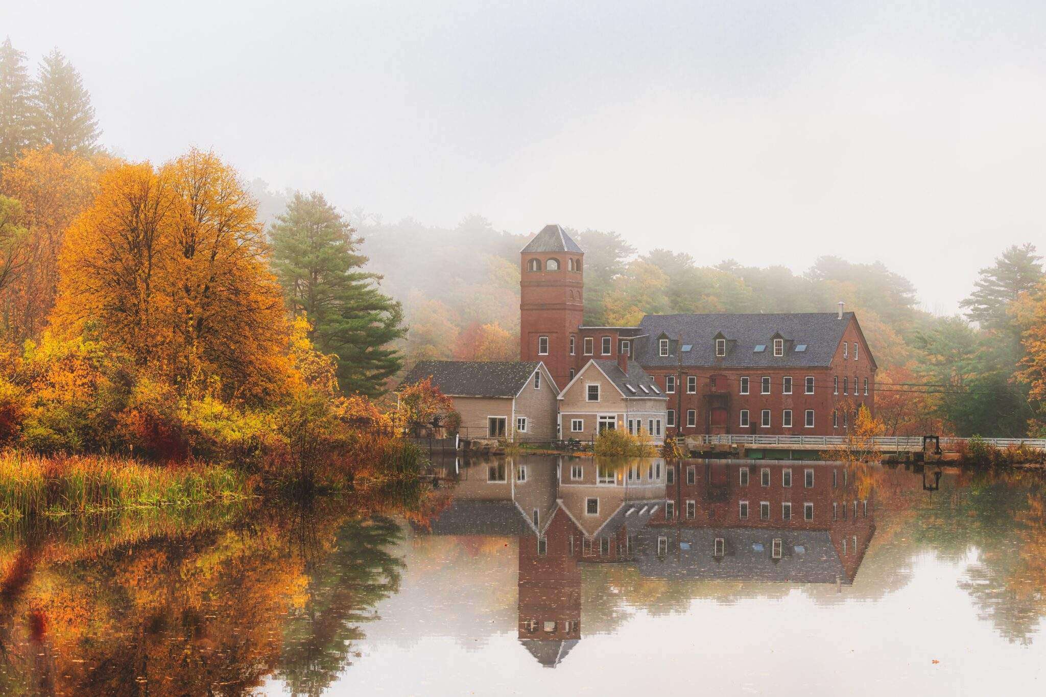 Exploring the Meaning Behind Maine's State Motto: Dirigo, I Lead - AMLP ...
